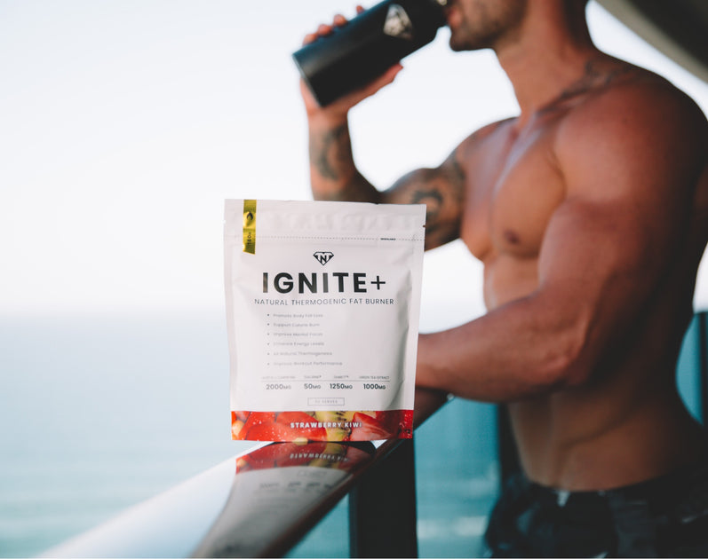 Protein Supplements - TNT Gym & Body Building Supplements Online – The ...