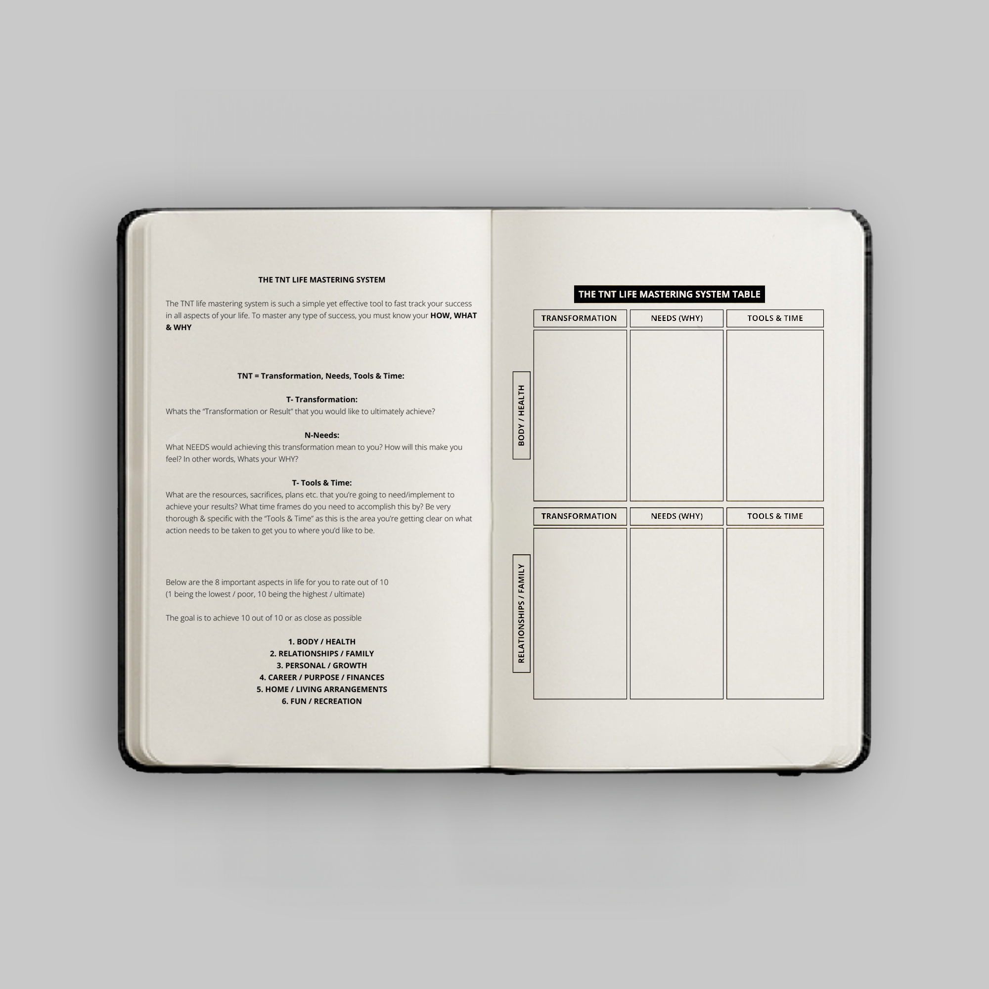 TNT Journal – The Natural Transformer